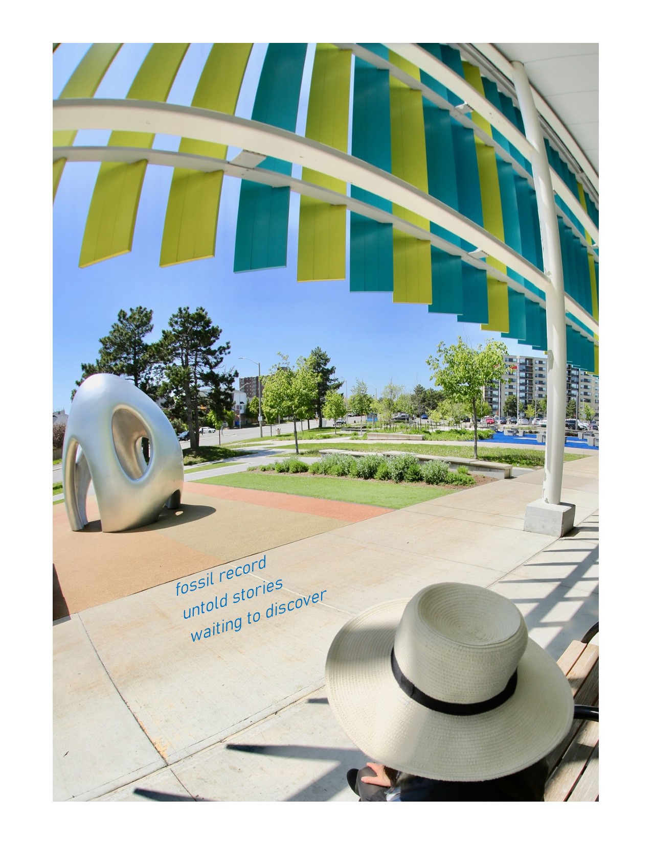 Poems about the fossil record – Sureway Cultural Services